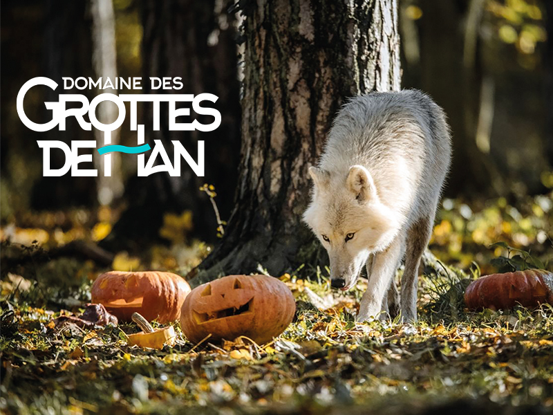Gagnez 5 x 4 entrées pour le Domaine des Grottes de Han | Max