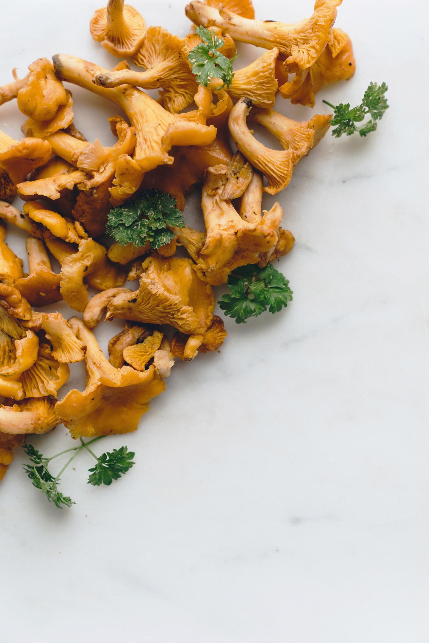 C’est la meilleure saison des champignons : les conseils pour bien les ...