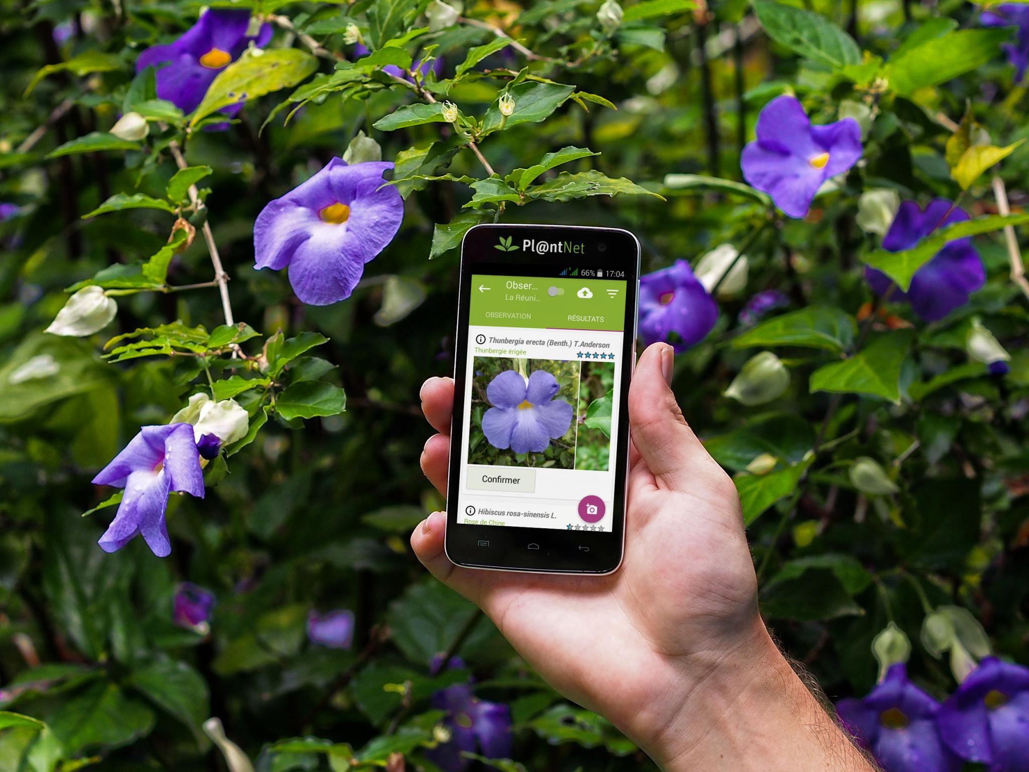 Nature Quatre Applications Ludiques Pour D couvrir La Faune Et La Nature Quatre Applications Ludiques Pour D couvrir La Faune Et La