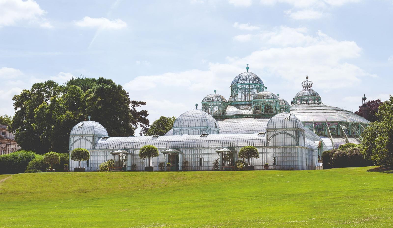Serres royales de Laeken : un joyau à découvrir jusqu’au 7 mai | Max